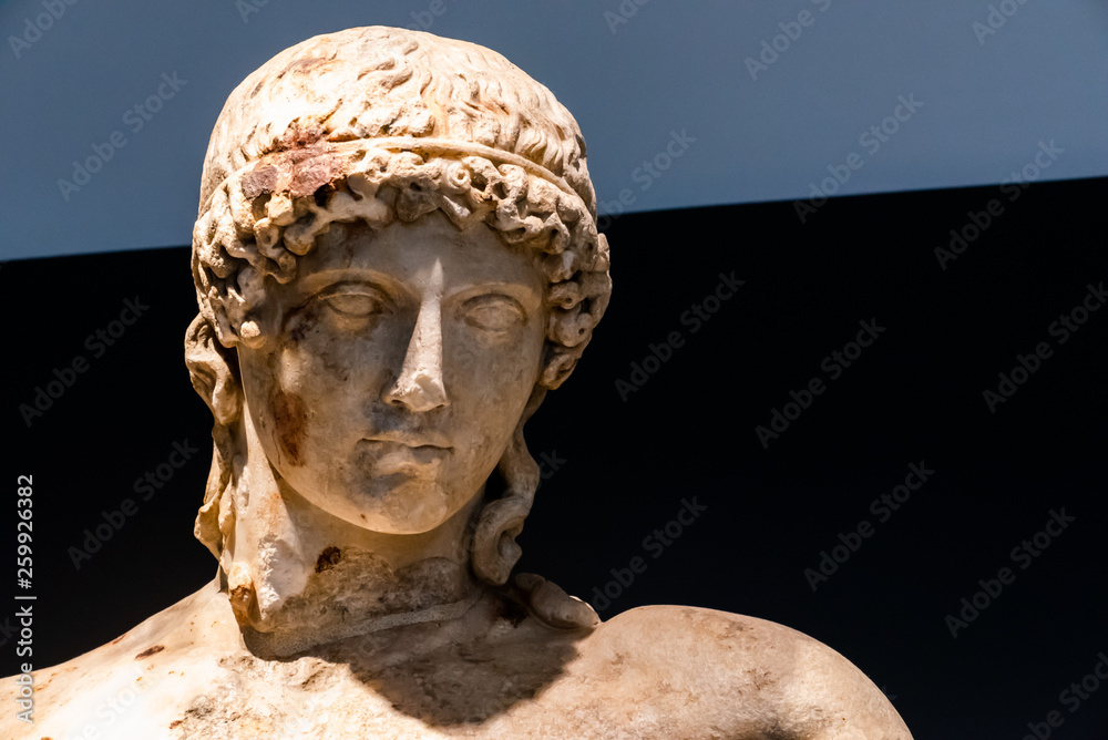 Roman Statue Face