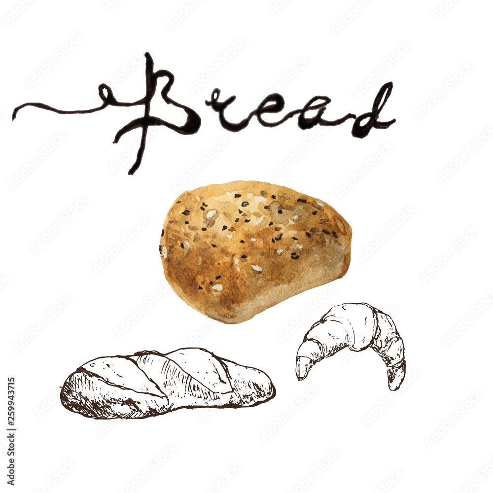 Bread, bakery product watercolor and pen sketch drawing with lettering ...