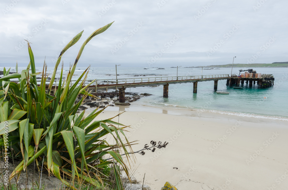 Kaingaroa Wharf extending over a beautiful sand beach, with a flax ...