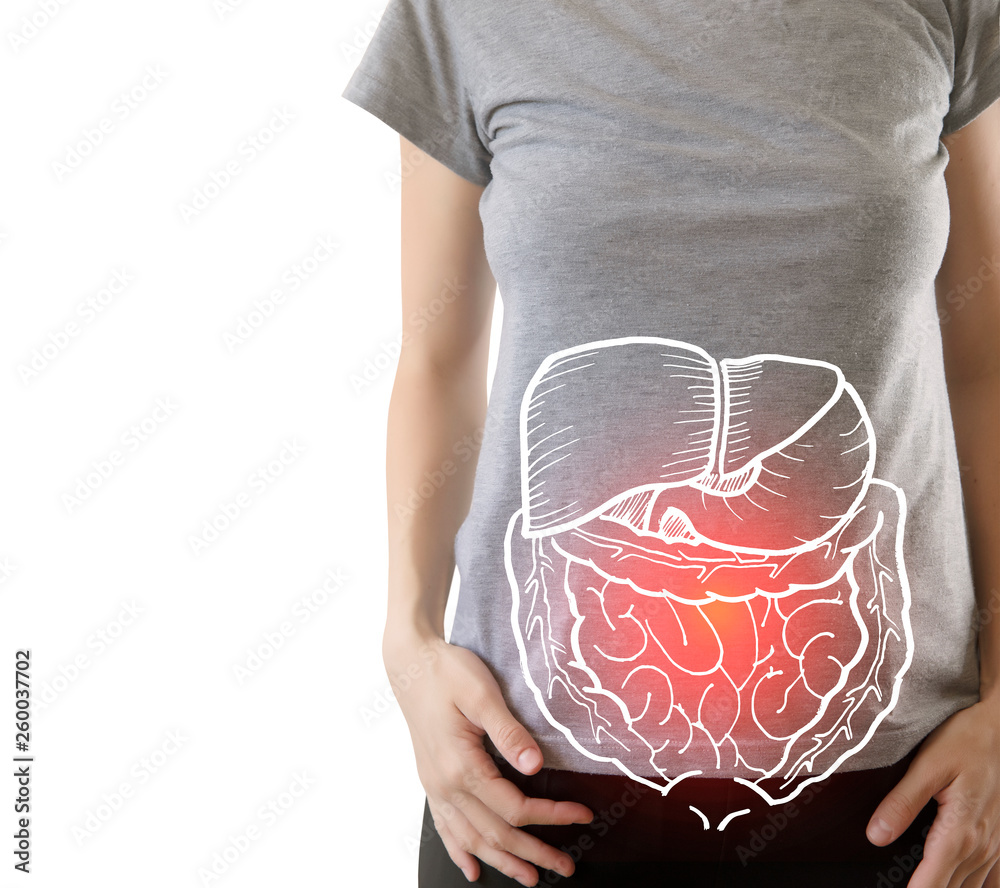 highlighted internal organs with some illness Stock Photo | Adobe Stock