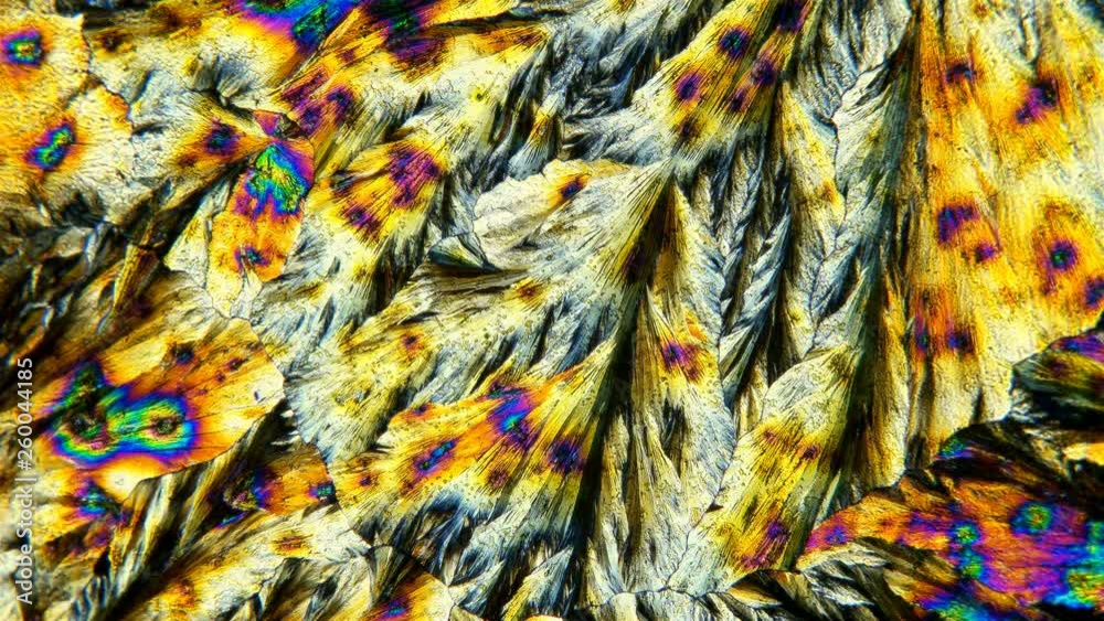 beautiful crystals under the microscope, Paracetamolum solution, the ...
