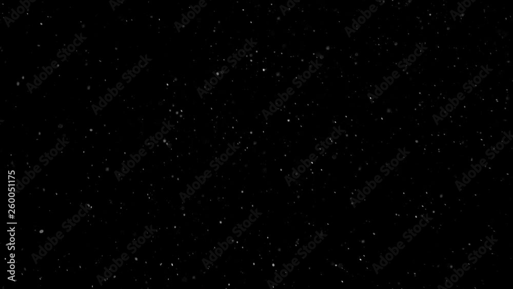 Natural Organic Dust Particles Floating On Black Background. Dynamic ...