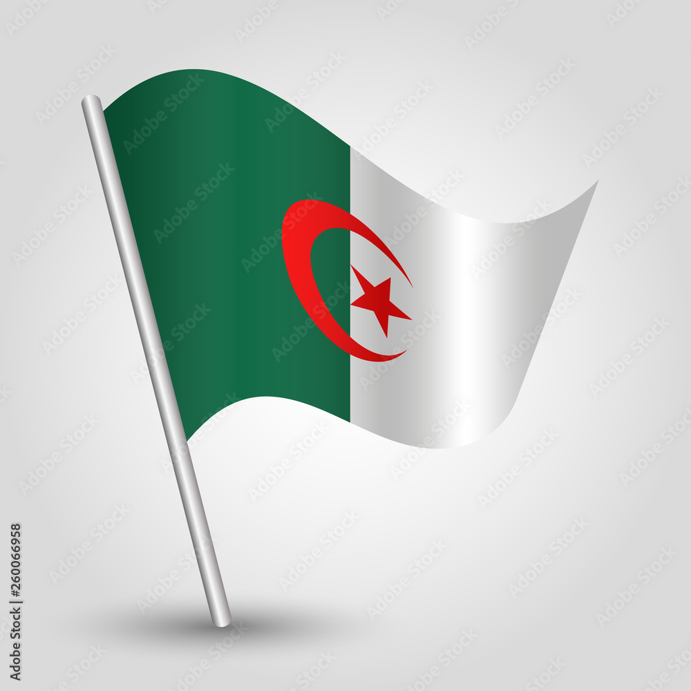 vector waving simple triangle algerian flag on slanted silver pole ...