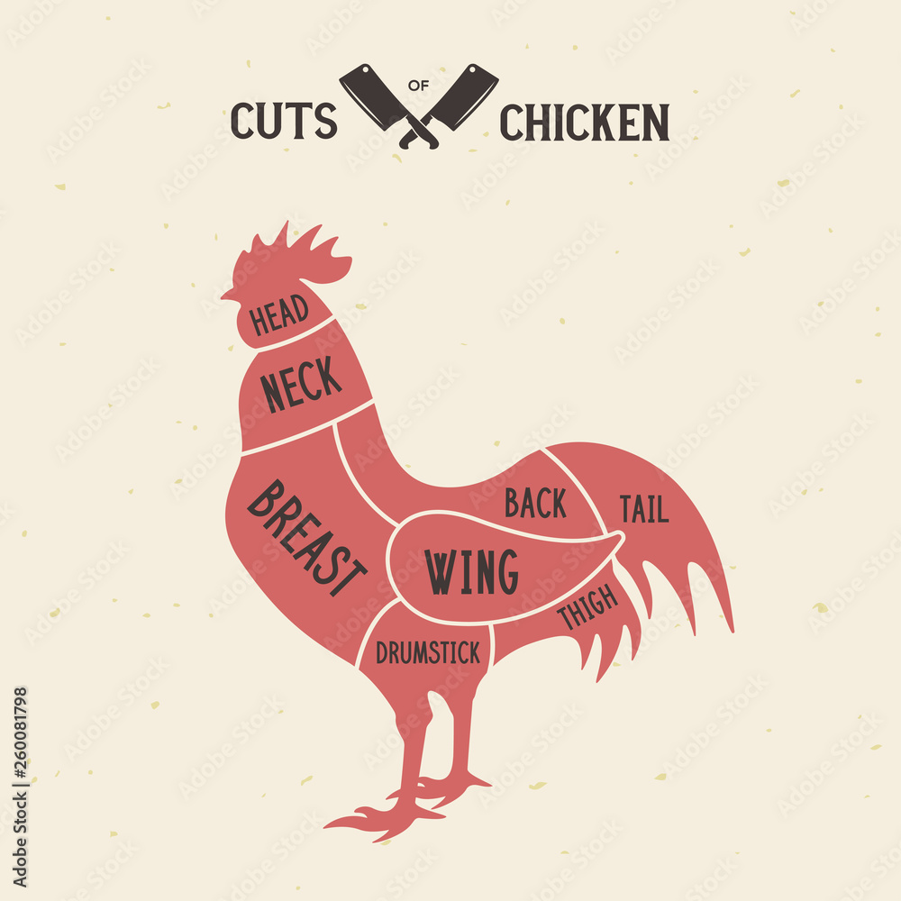 Meat cuts - chicken. Diagrams for butcher shop. Scheme of chicken ...