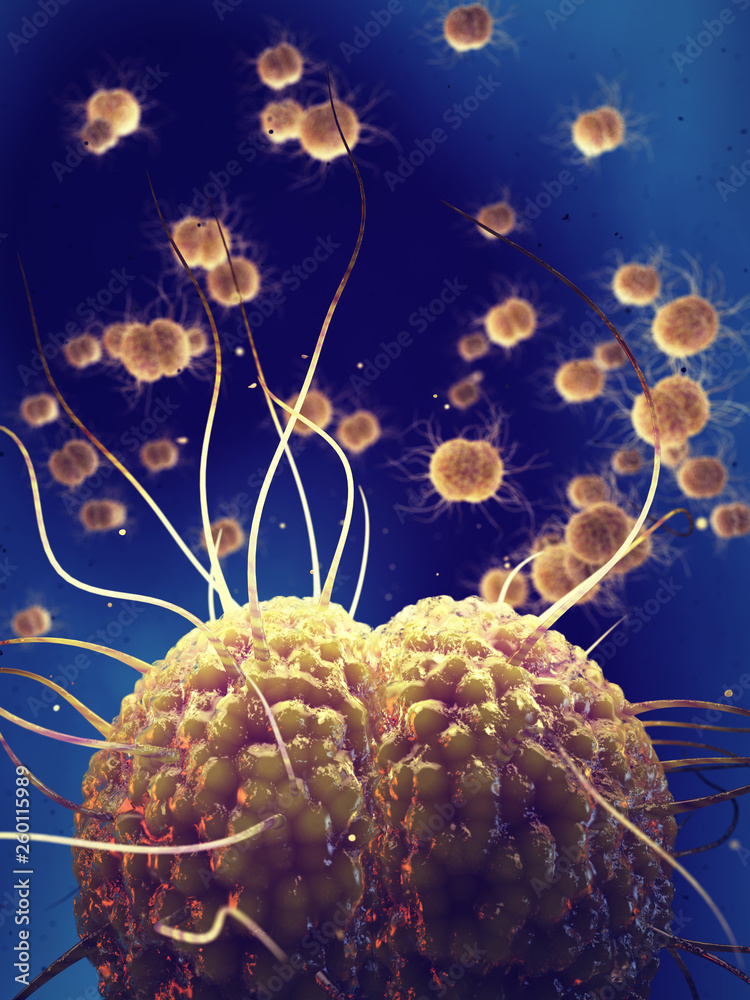 Gonorrhea is a sexually transmitted disease caused by Neisseria ...