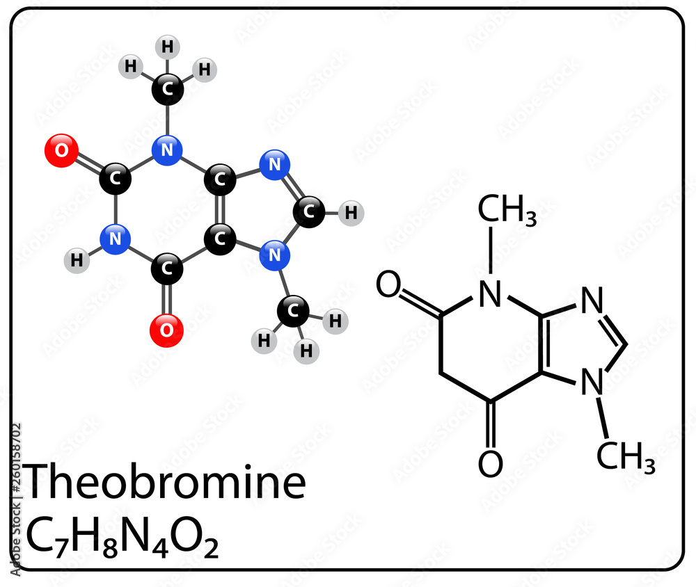 Structure Of Theobromine