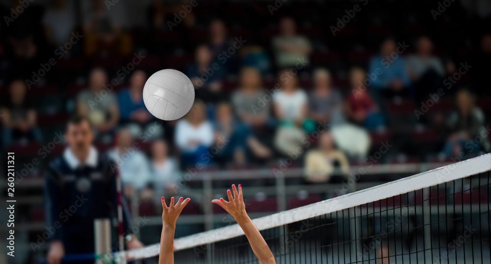 Volleyball Player Setting