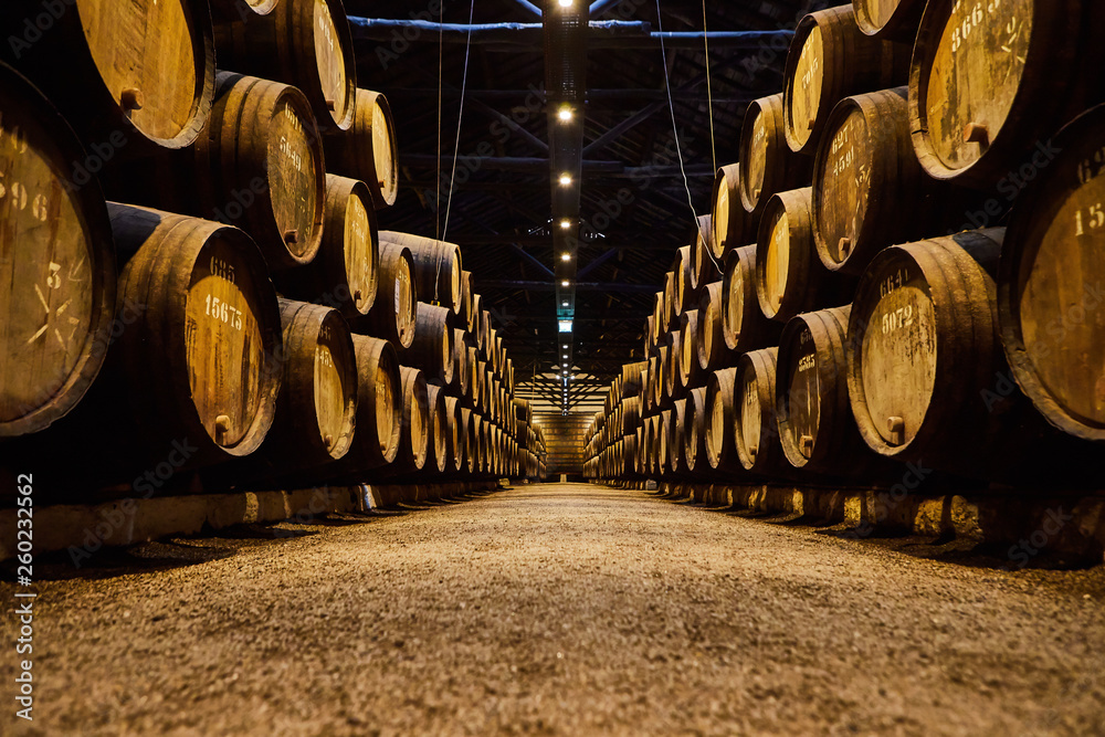 Old aged traditional wooden barrels with wine in a vault lined up in ...
