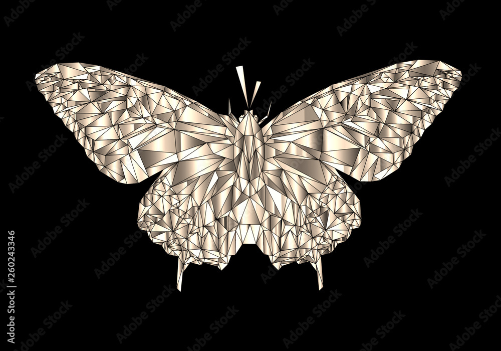 Abstract Artistic Polygonal Butterfly Shape in black Background Stock ...