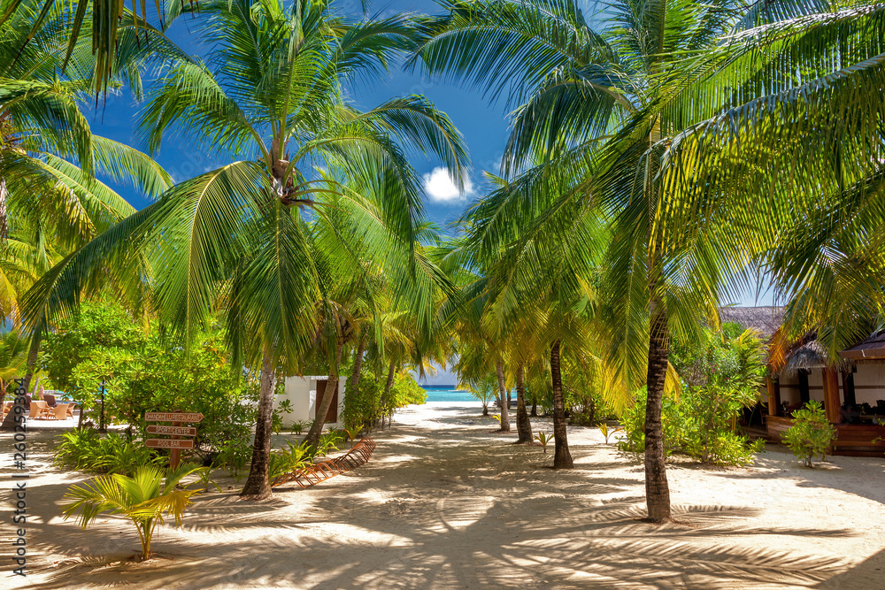 Malediven Im Lhaviyani Atoll Wall Mural Wallpaper