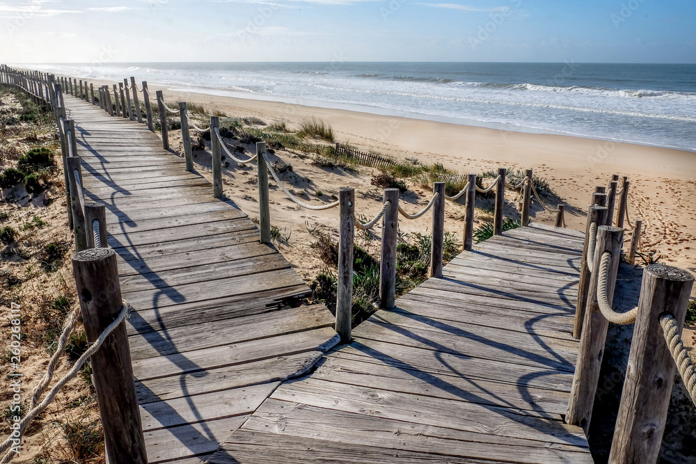 two wooden decking pathways forming a fork in the road both heading ...