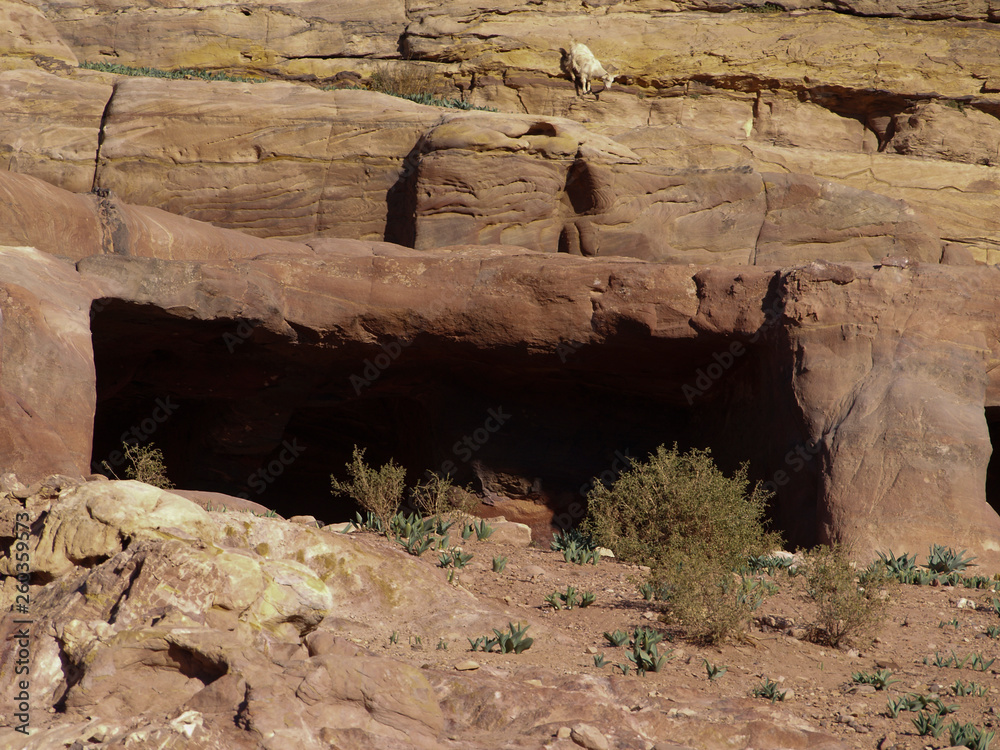 Petra; Raqmu - historic ruins of the ancient, rock city of the Nabatean ...