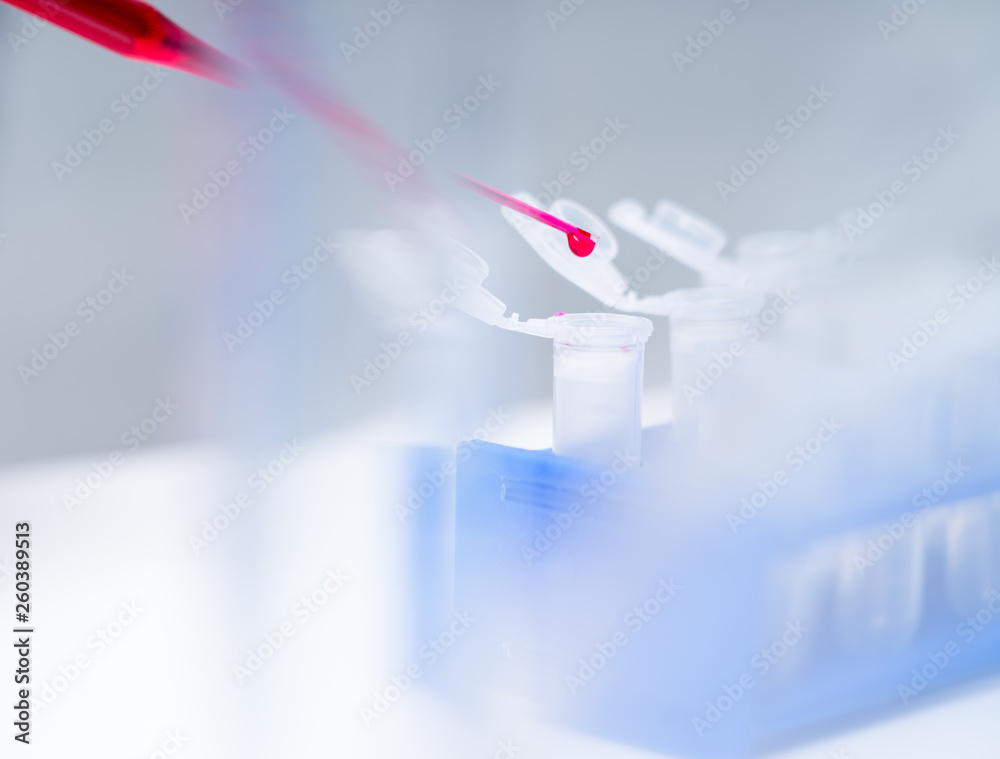 Cell culture assay to test genetically modified seed. Stock Photo ...