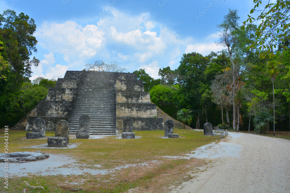 The archaeological site of the pre-Columbian Maya civilization in Tikal ...