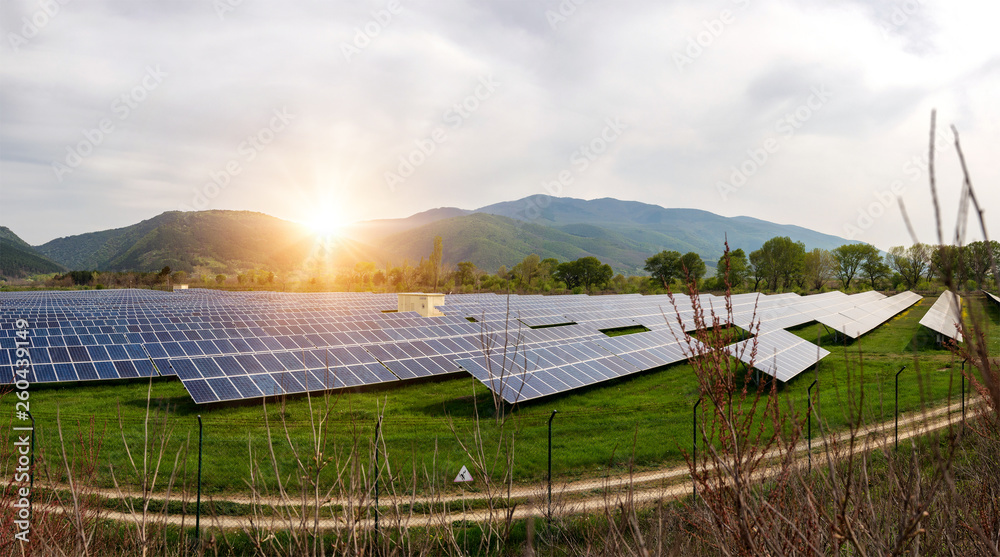 Panoramic view of solar panels, photovoltaics, alternative electricity ...
