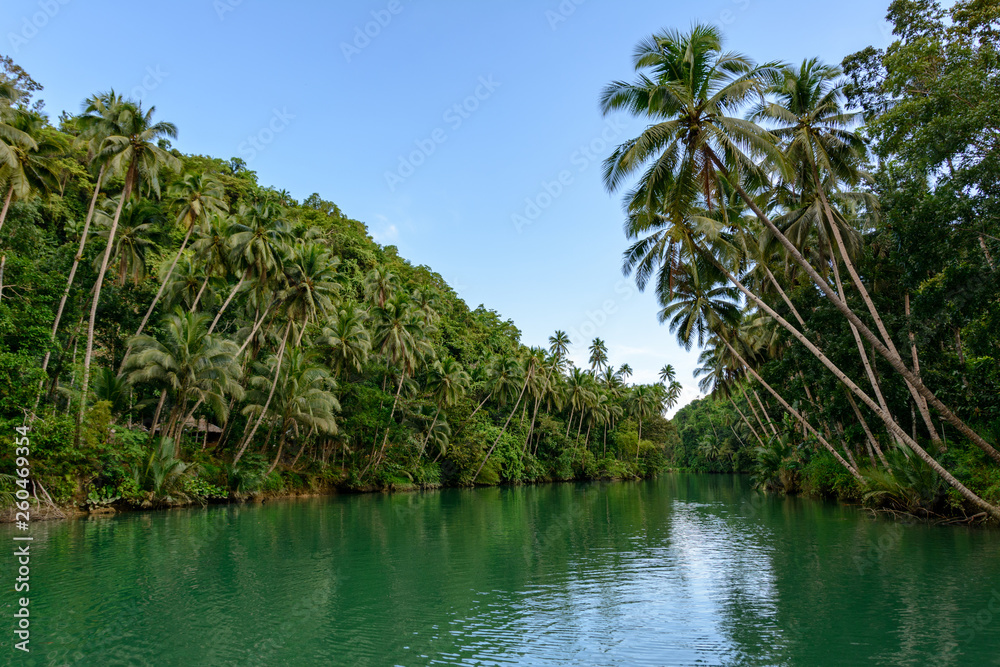 Loboc river on Bohol island, Philippines Stock Photo | Adobe Stock