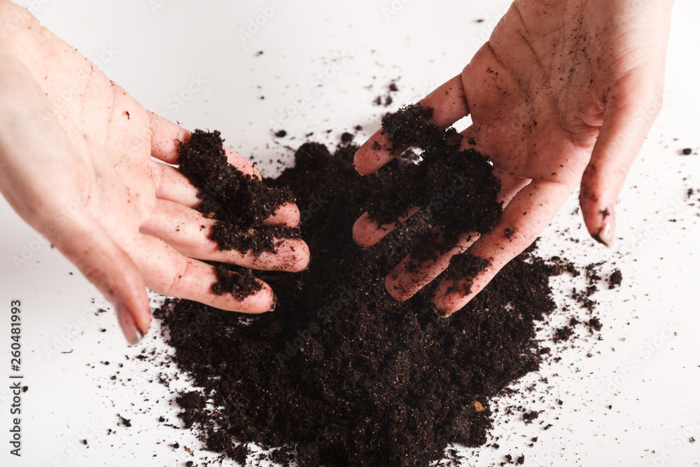 Soil in woman arms against white background close-up. Two hands holding ...