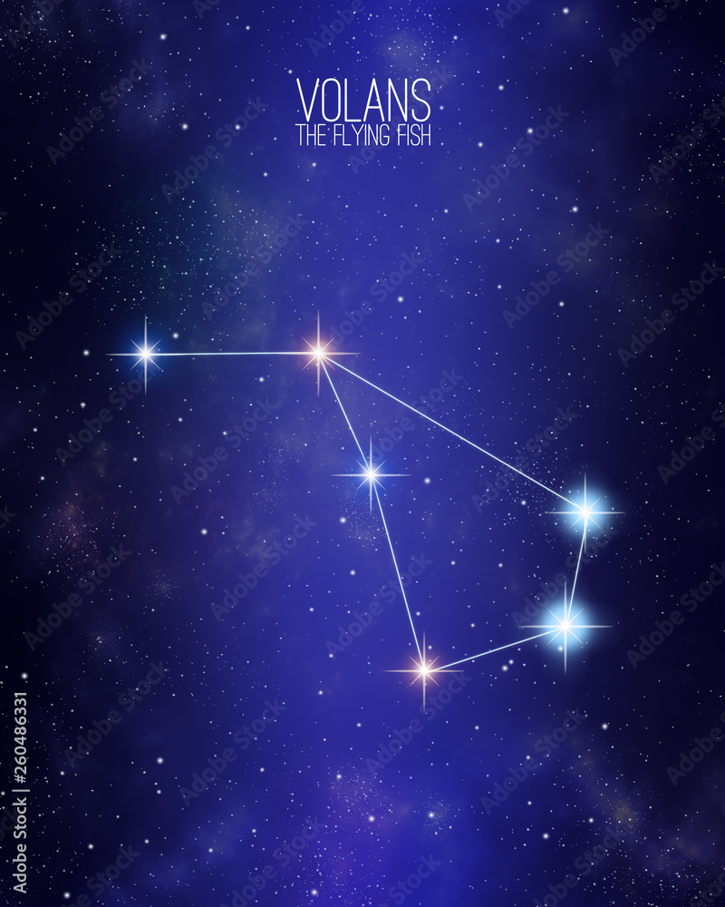 Volans the flying fish constellation map on a starry space background ...