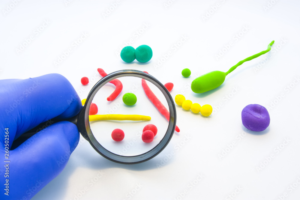 Doctor or scientist examines through magnifying glass enlarged model of ...