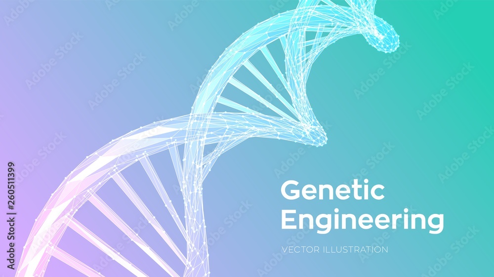 DNA sequence. Abstract 3d polygonal wireframe DNA molecules structure ...