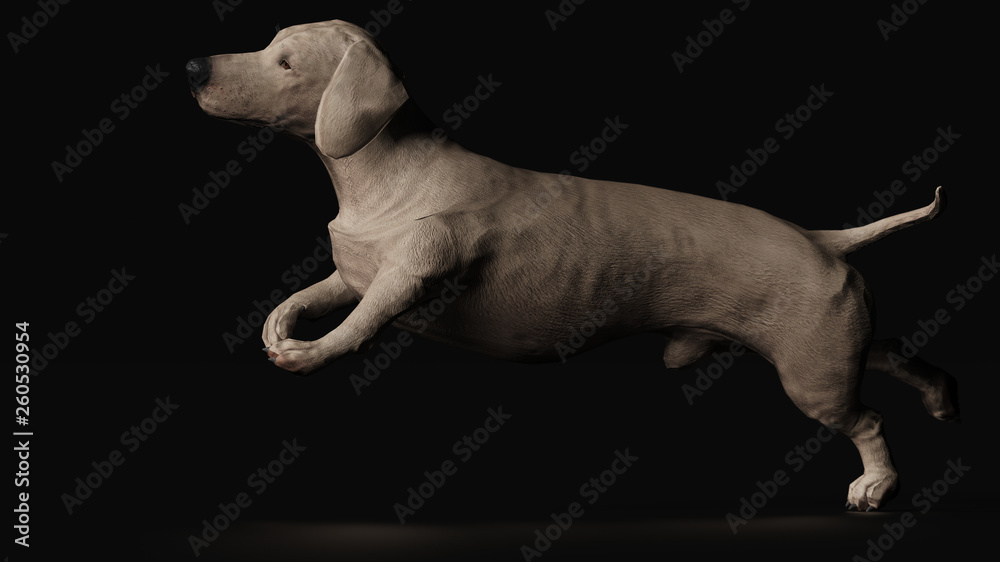 Puppy Running Side View