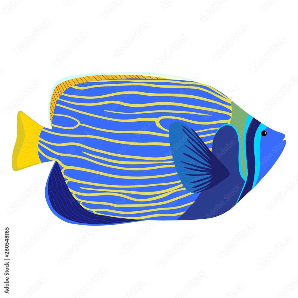 Emperor angelfish cartoon isolated illustration. Pomacanthus imperator ...