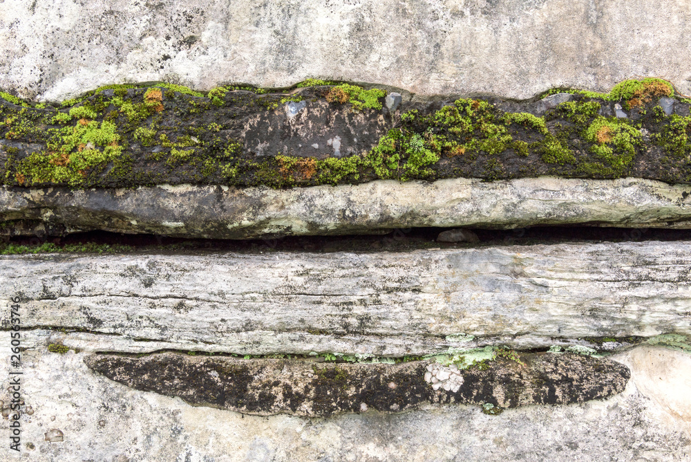 Textura roca Stock Photo | Adobe Stock