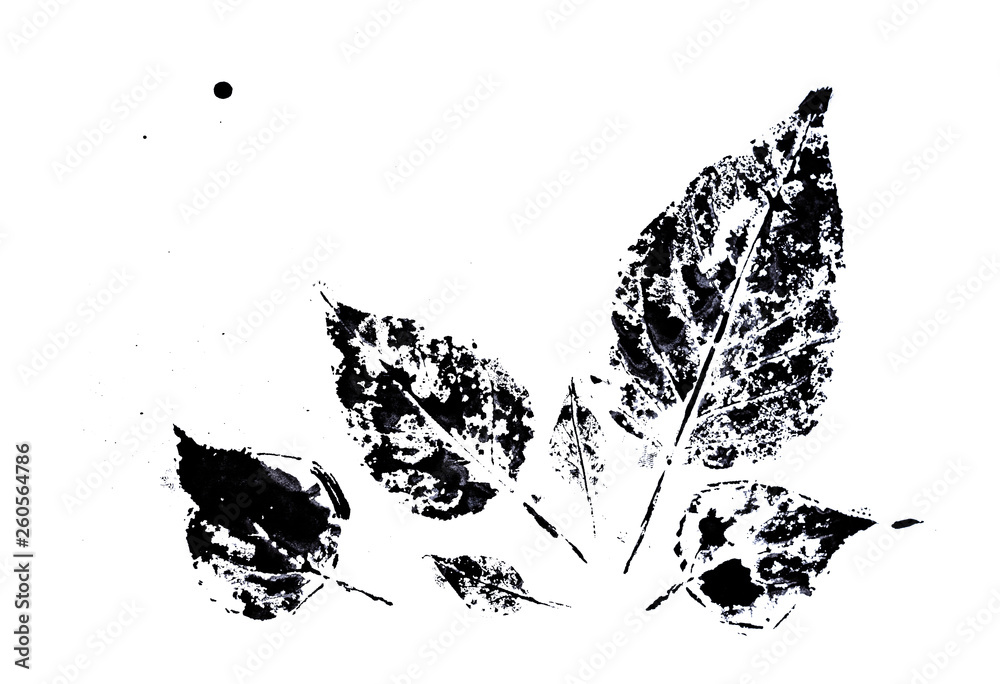 Prints of leaves of lilac, prints ink. Graphic elements drawn with ink ...