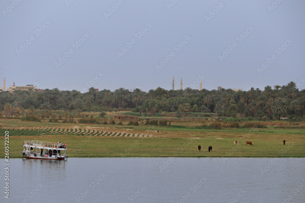 Landwirtschaft am Nil in Ägypten: ein Boot, Kühe, Felder, Palmen und ...