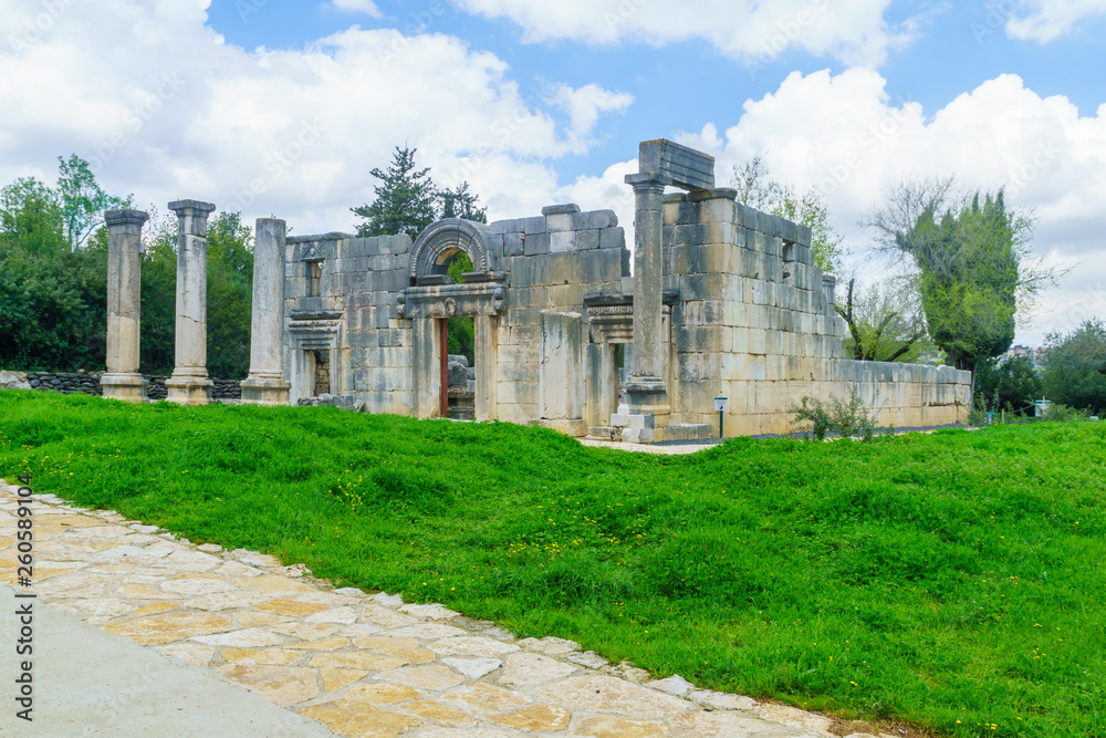 Ancient synagogue ruins in Baram National Park Stock Photo | Adobe Stock