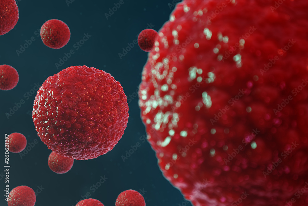 Human Egg Cell Microscope