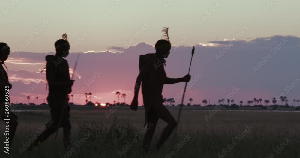 4K side view of three San people/Bushman walking past the camera in ...
