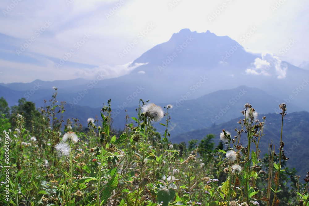Mount Kinabalu is a mountain in Sabah, Malaysia. It is protected as ...
