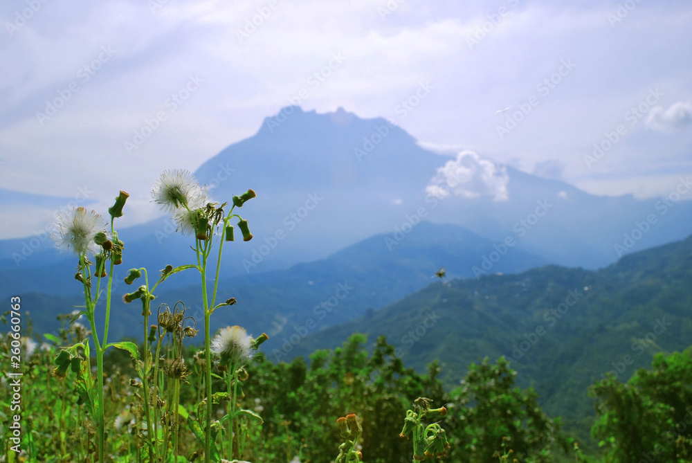 Mount Kinabalu is a mountain in Sabah, Malaysia. It is protected as ...
