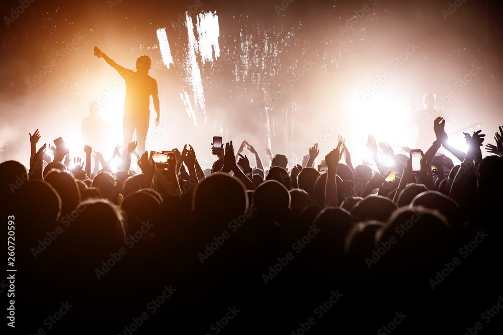 Rock Concert Crowd From Stage