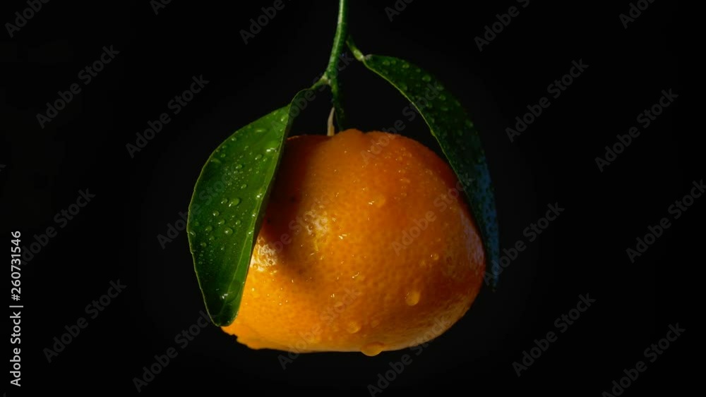 Not every place you fit is where you belong. Mandarin and clove of ...