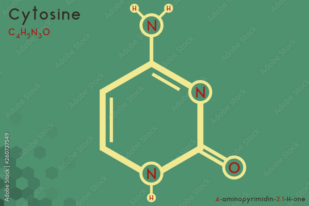 Large and detailed infographic of the molecule of Cytosine Stock Vector ...