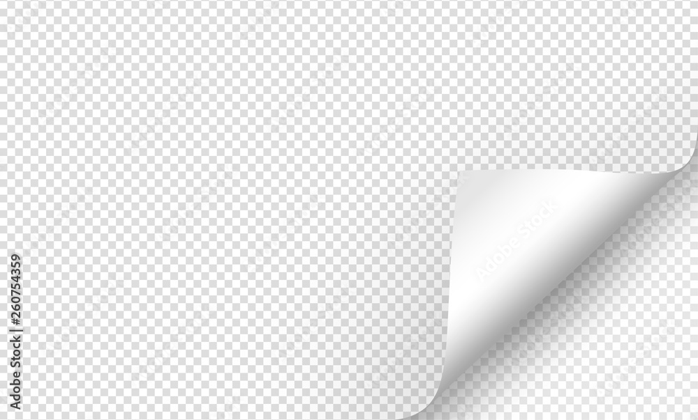 Vector illustration of the gray paper blank page with curled corner and ...