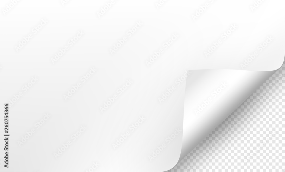 Vector illustration of the white paper blank page with curled corner ...