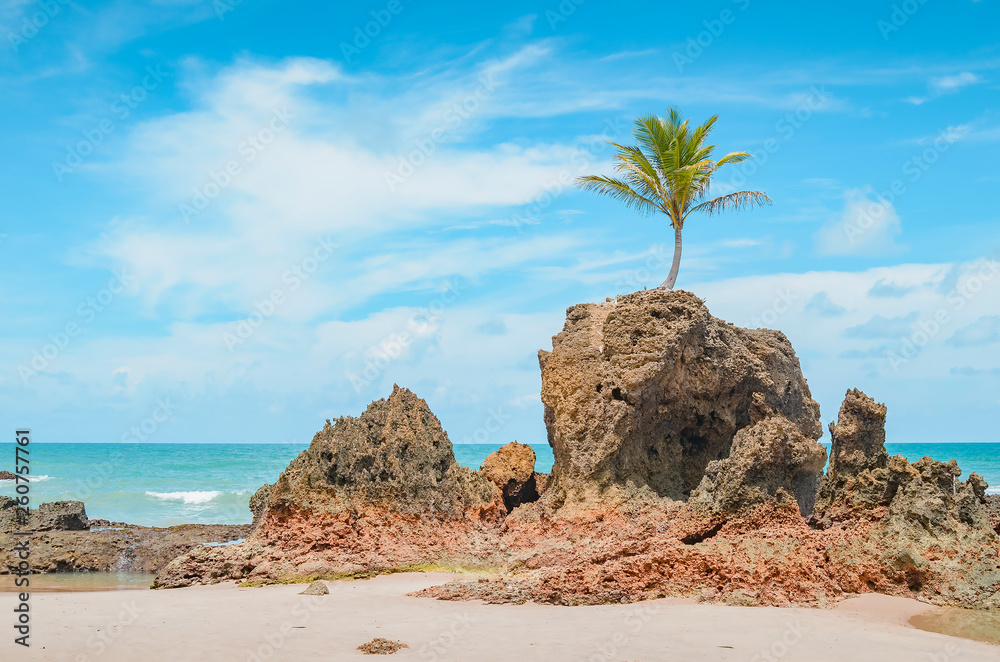 Foto de View of Praia de Tambaba beach, Costa do Conde. Famous beach by ...