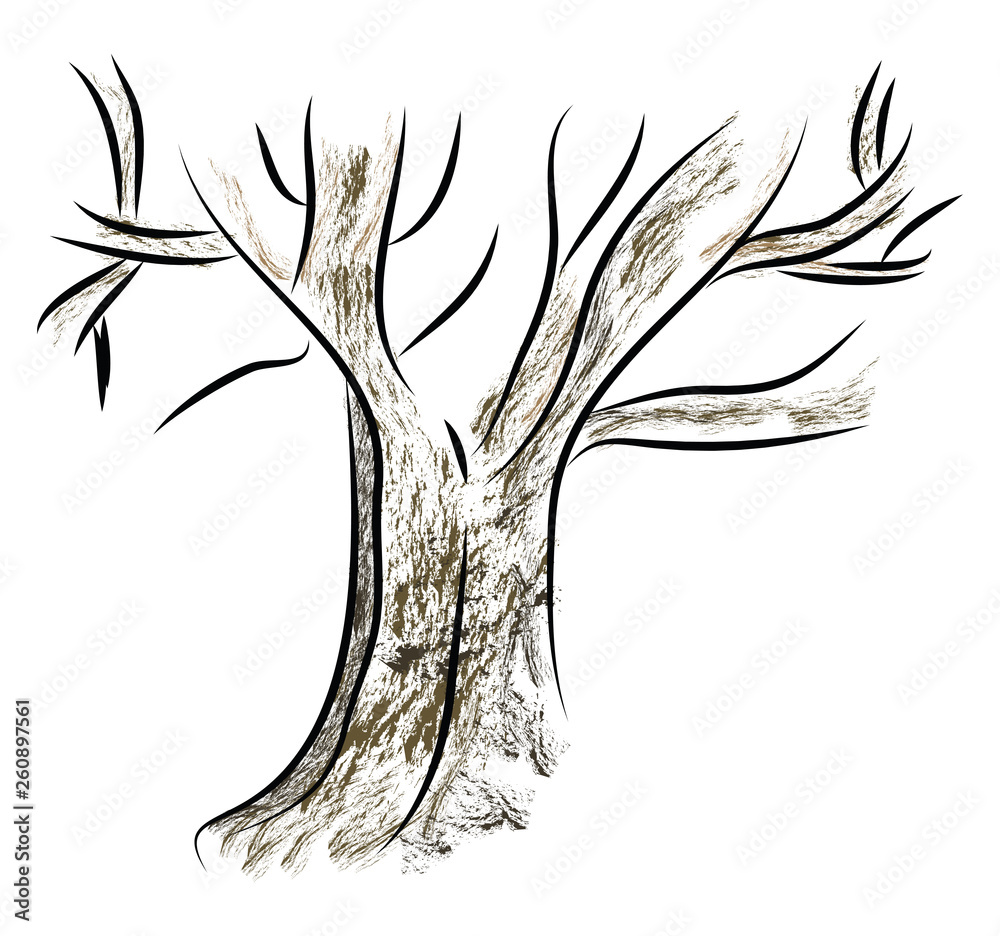 Big Tree Drawing