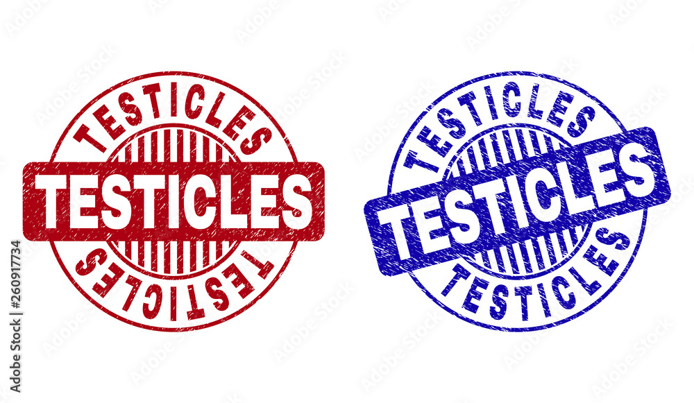 Grunge TESTICLES round stamp seals isolated on a white background ...