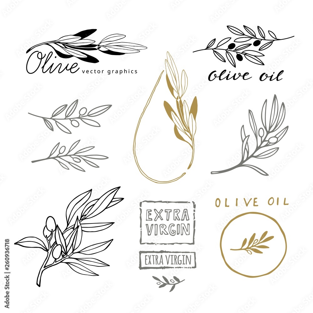Hand Drawing Sketch of Olive Branches with Olives. Design Elements for ...