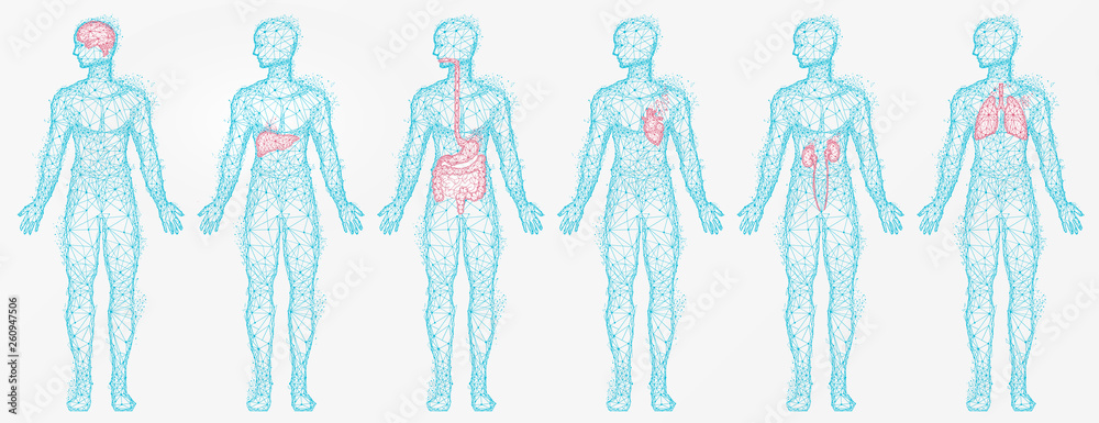 Polygonal human profiles vector, set of isolated bodies with colored ...