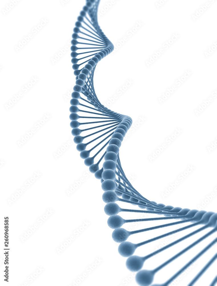 DNA strand isolated on white background Stock Illustration | Adobe Stock