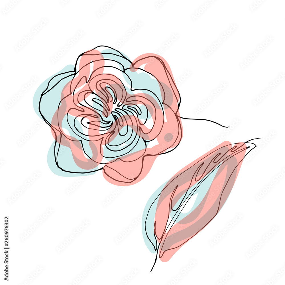 White Juliet Rose