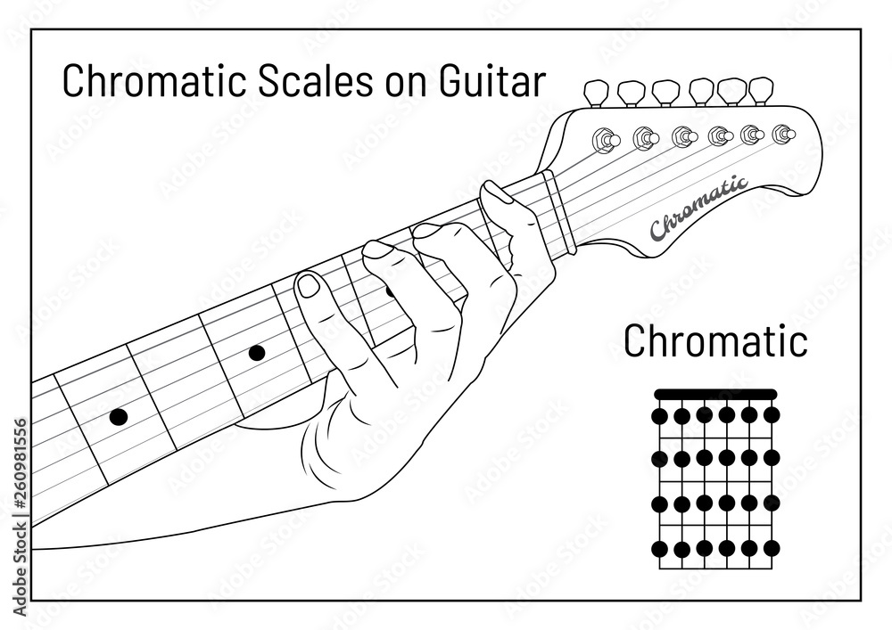 Chromatic Scales for Guitar, hand drawn, vector, illustration Stock ...