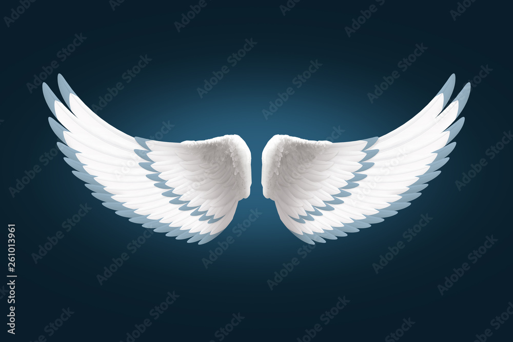 wide open realistic angel wings Stock Photo | Adobe Stock