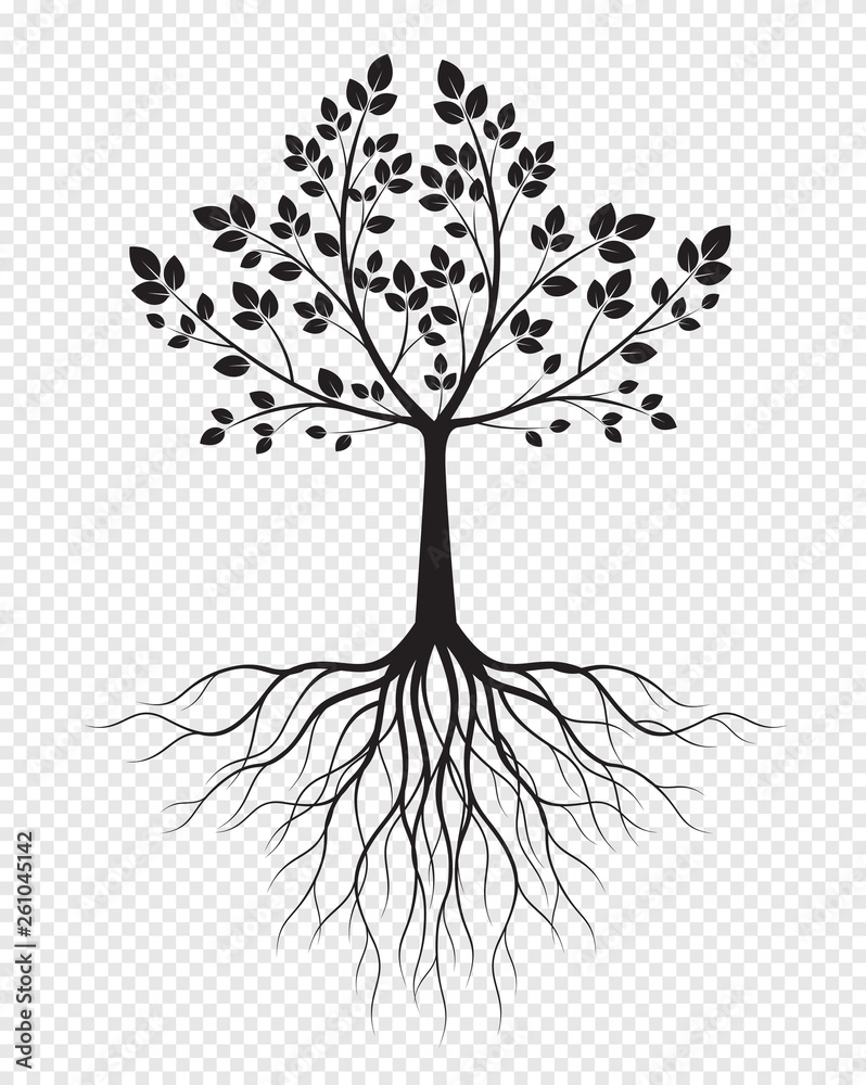Black Tree with Roots on transparent background. Vector Illustration ...