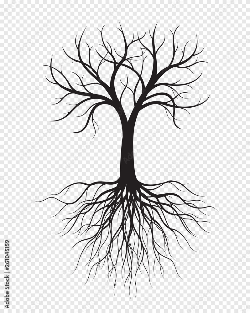 Black Tree with Roots on transparent background. Vector Illustration ...